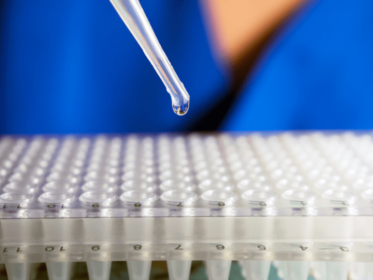 Stem Cell Therapy for Anti Aging