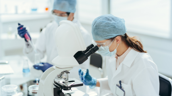What Are Hematopoietic Stem Cells? - Stem Cell Clinic Mexico