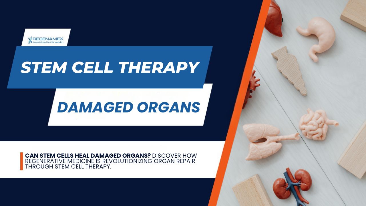 Can Stem Cells REALLY Heal Damaged Organs? - Stem Cell Clinic Mexico