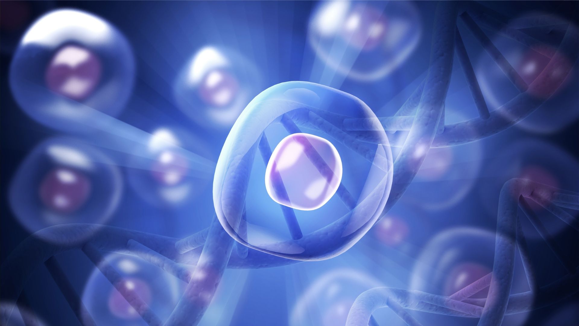Can Stem Cell Therapy Help with Parkinson’s Disease? - Stem Cell Clinic ...