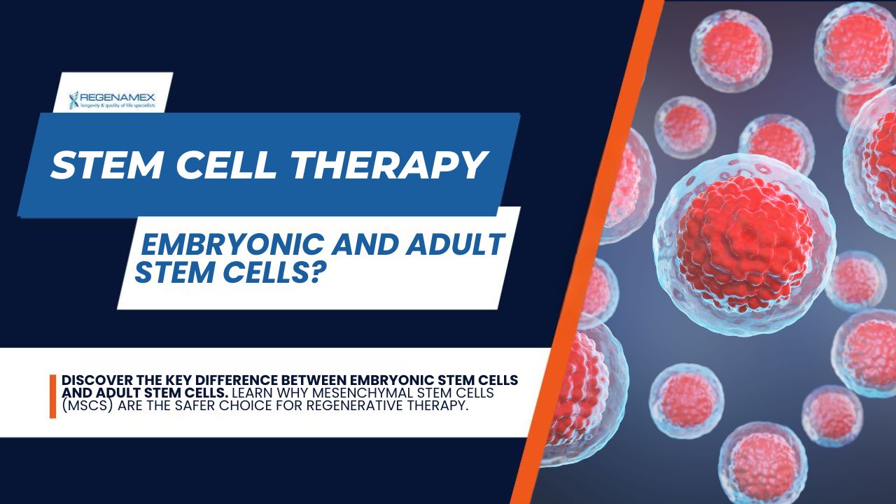 What Is the Difference Between Embryonic Stem Cells and Adult Stem Cells? - Stem Cell Clinic Mexico