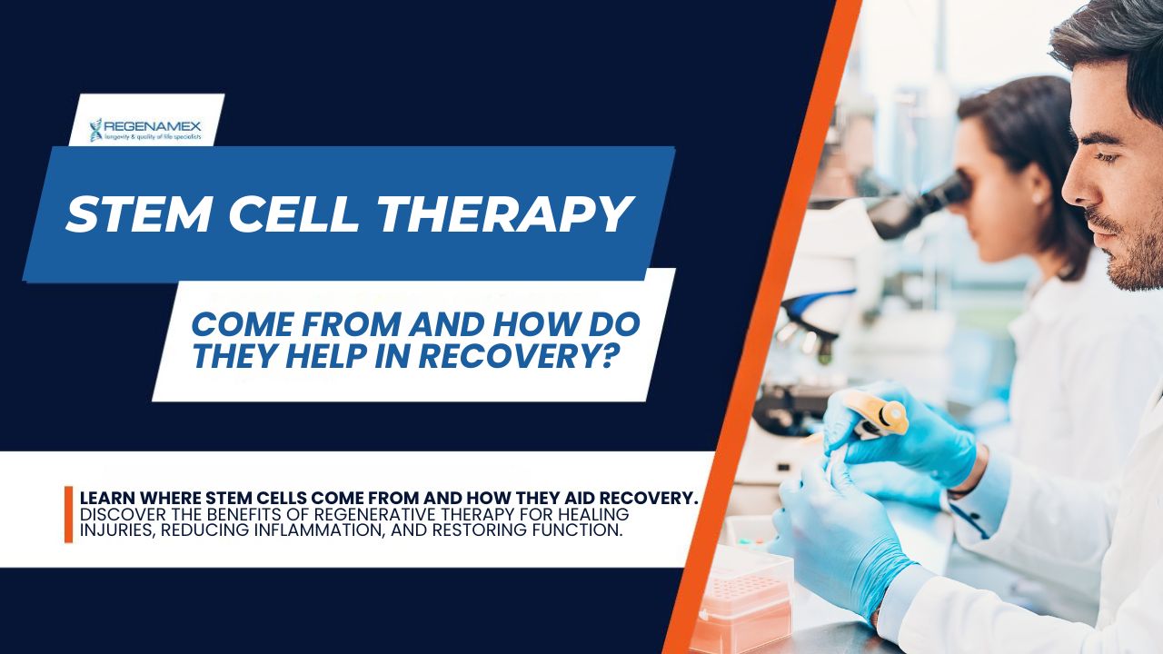 Where Do Stem Cells Come From and How Do They Help in Recovery? - Stem ...